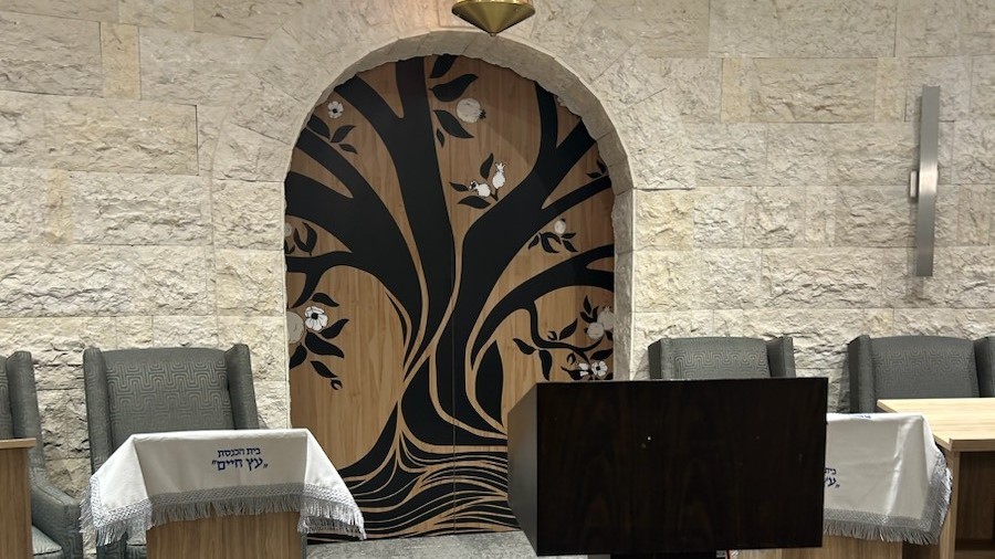Inpro Aspex Printed Wall Protection: A Look at Our Etz Chaim Sanctuary ...
